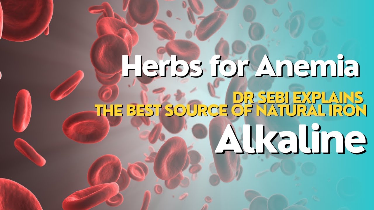 Herbs for Anemia - Dr. Sebi Explains BEST Source of Iron - YouTube