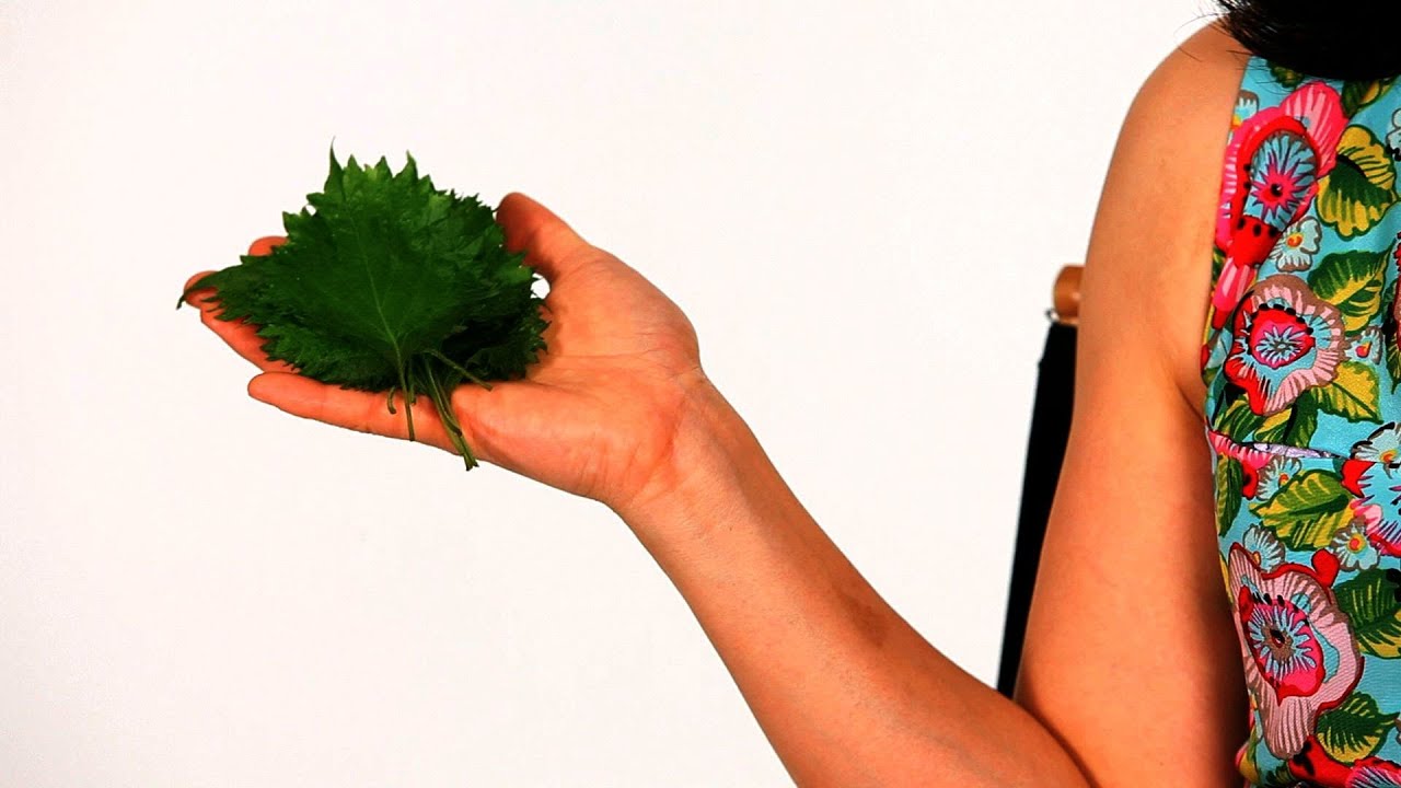 What Is Shiso? | Sushi Lessons - YouTube