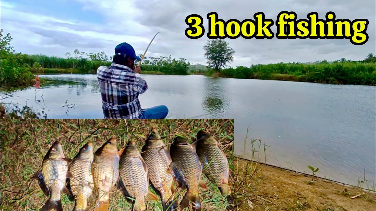 Fishing videos | Triple hook fishing | Carp Fishing Bait - YouTube