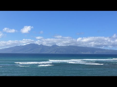 MAUI WEB CAM LIVE. LAHAINA SIDE. Watching Molokai, whales, turtles ...