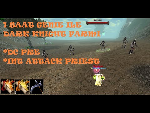 INT PRIEST 1 SAAT GENIE DARK KNIGHT FARMI 2023 GÜNCEL DROPLAR STKO - ZION 3565 AP~