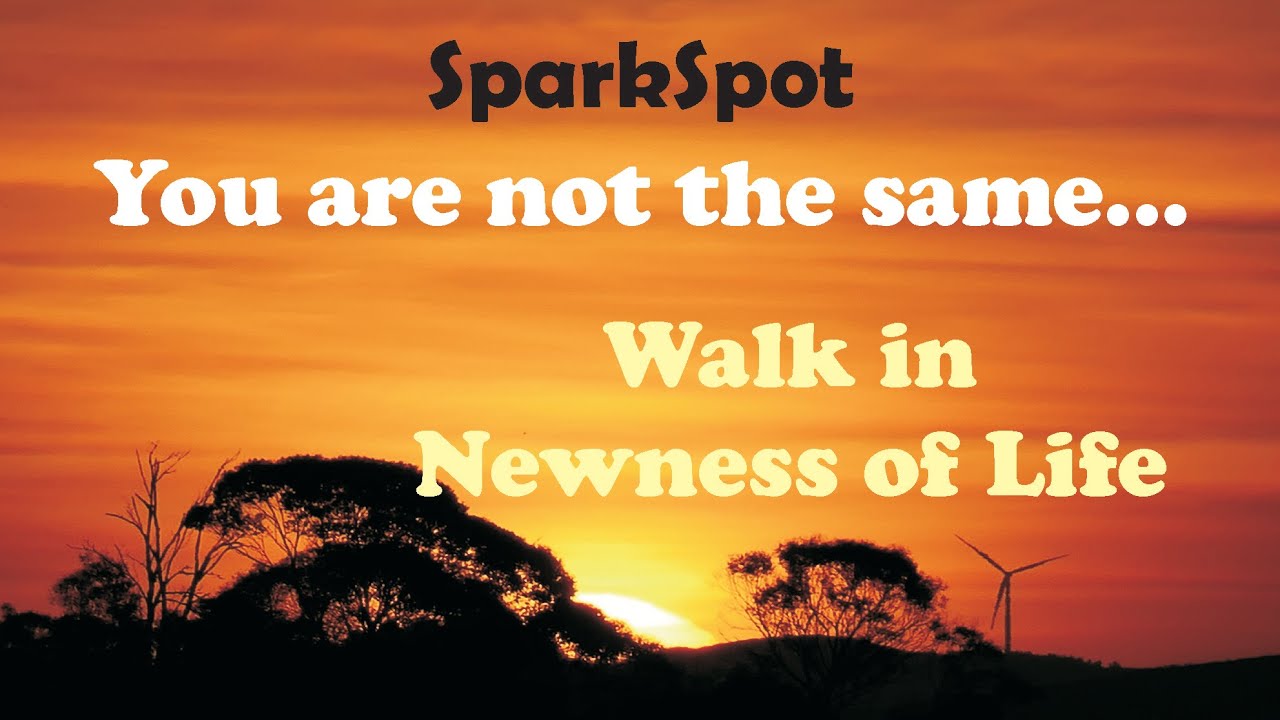 You are not the same : Walk in newness of life (Rom 6:4) I Spark from ...