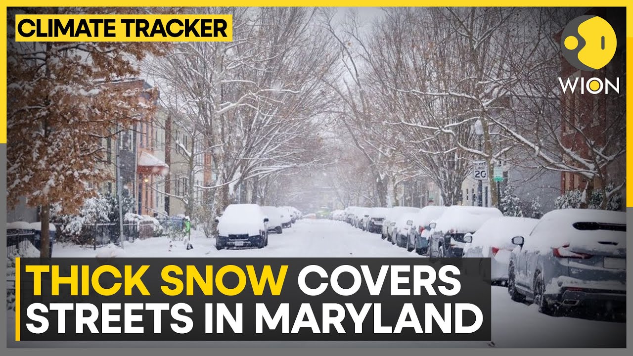Winter Storm Brings Snowfall To Southern Maryland | WION Climate ...