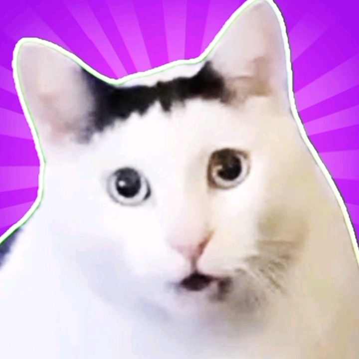 Chipi Chipi Chapa Chapa Meme Version But Google Images! #memes # ...