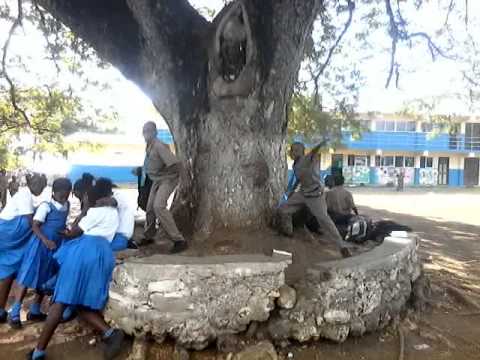 Lyssons primary magic - YouTube