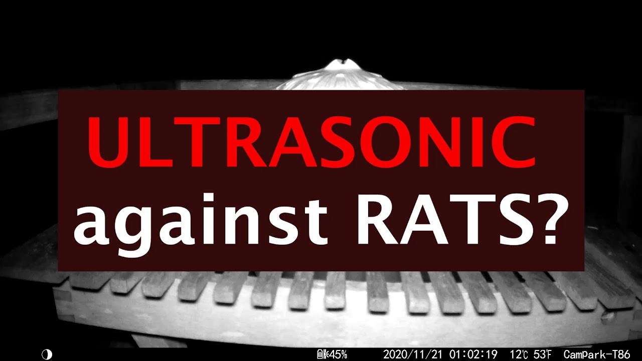 Ultrasound against Rats & Mice | Pest Repeller - Effectiveness Testing ...