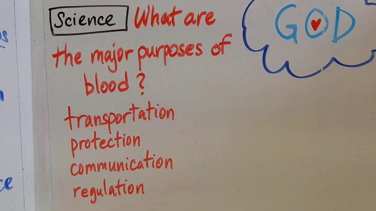 CC Cycle 3 Week 12 Science - YouTube