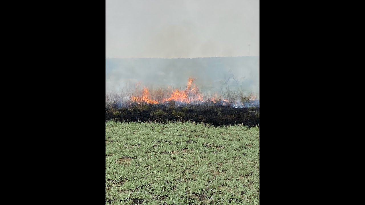 Firefighters burn high fuel areas in Lake Meredith to reduce fire risks ...