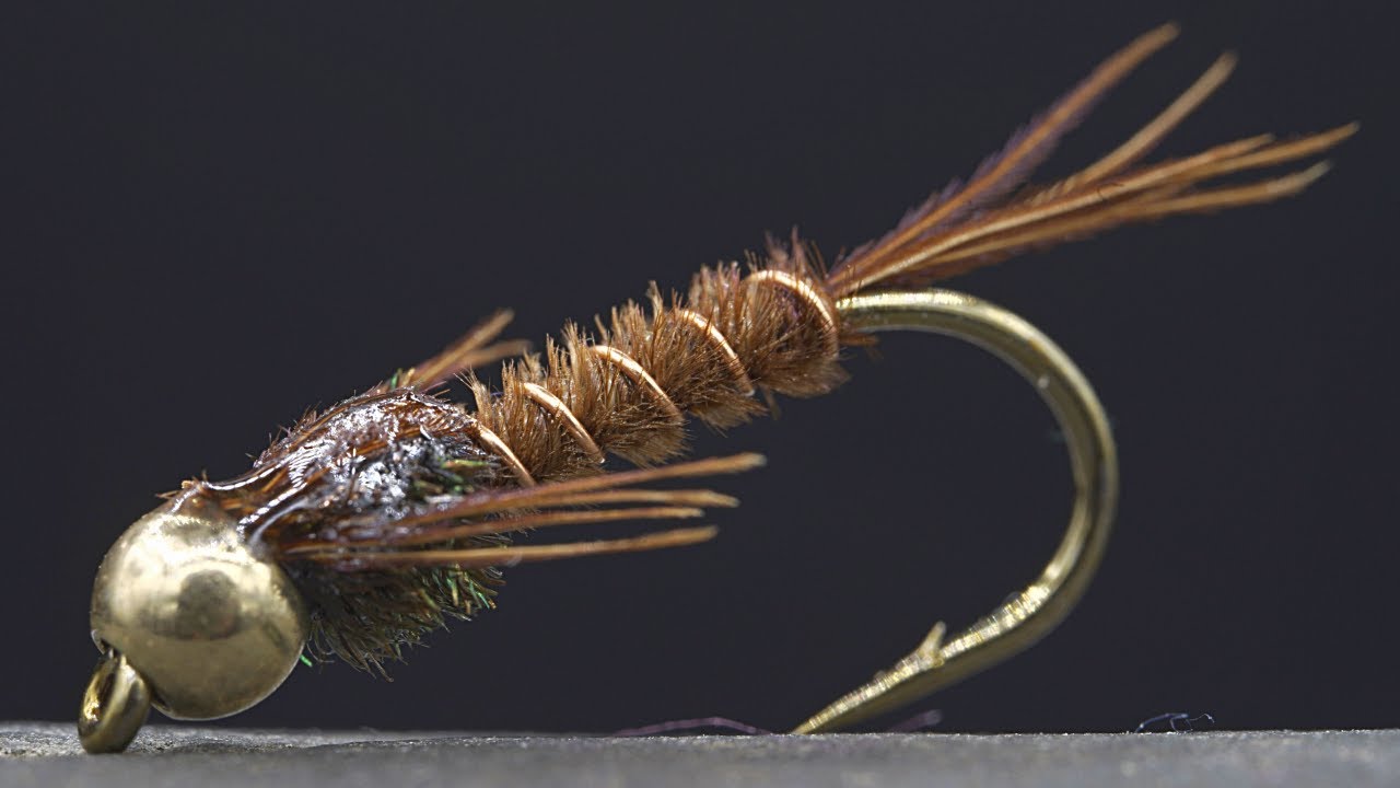 The World’s MOST Popular Fly! - YouTube