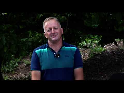 29 08 2020 UZGOJ AUTOHTONE SORTE SVINJA, MORAVKA, U BREZOVICAMA - YouTube