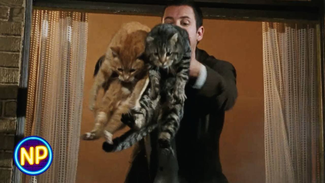 Mr. Deeds | Saving Cats From an Apartment Fire - YouTube