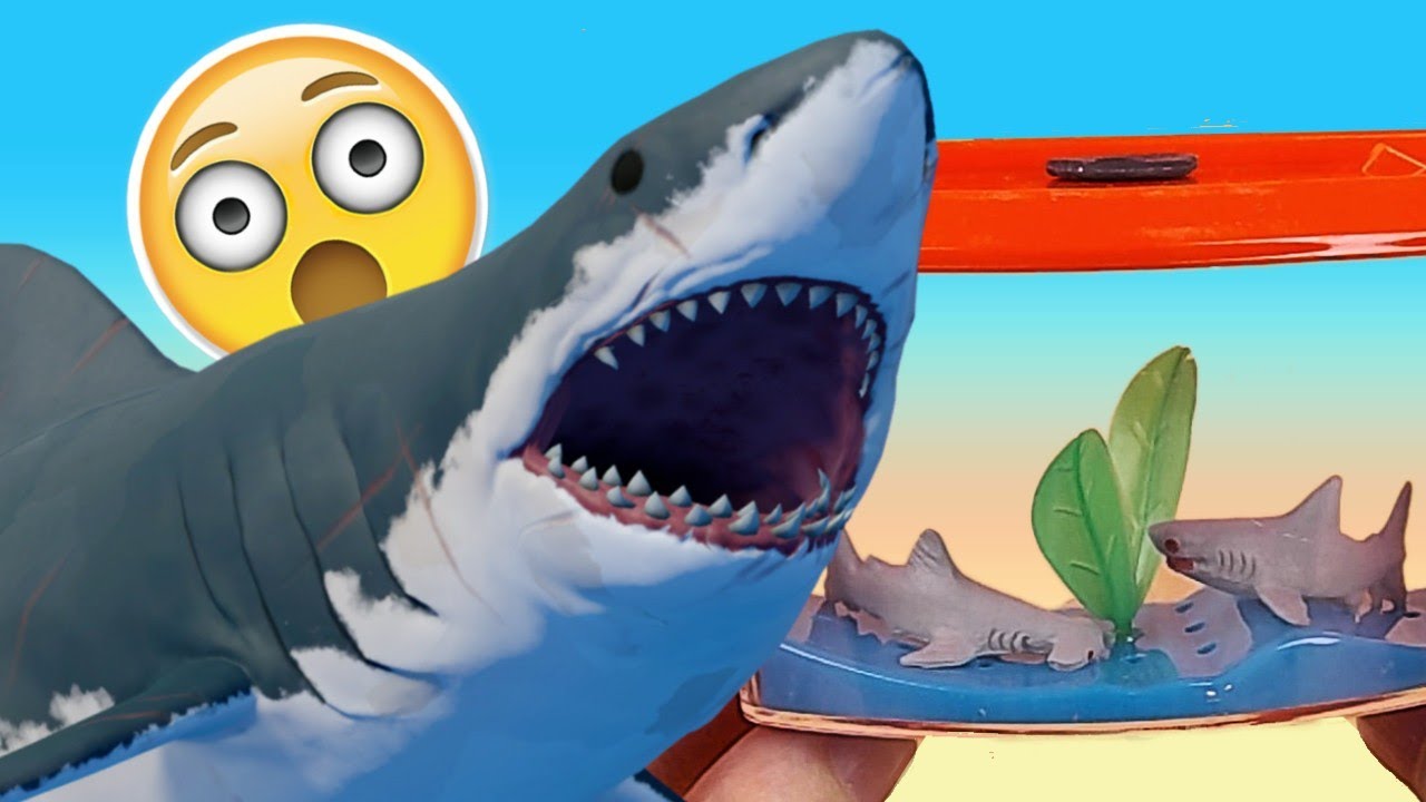 Grow Sharks in a Tank?! 🦈😱 Growing Fish Toy Aquariaum - YouTube
