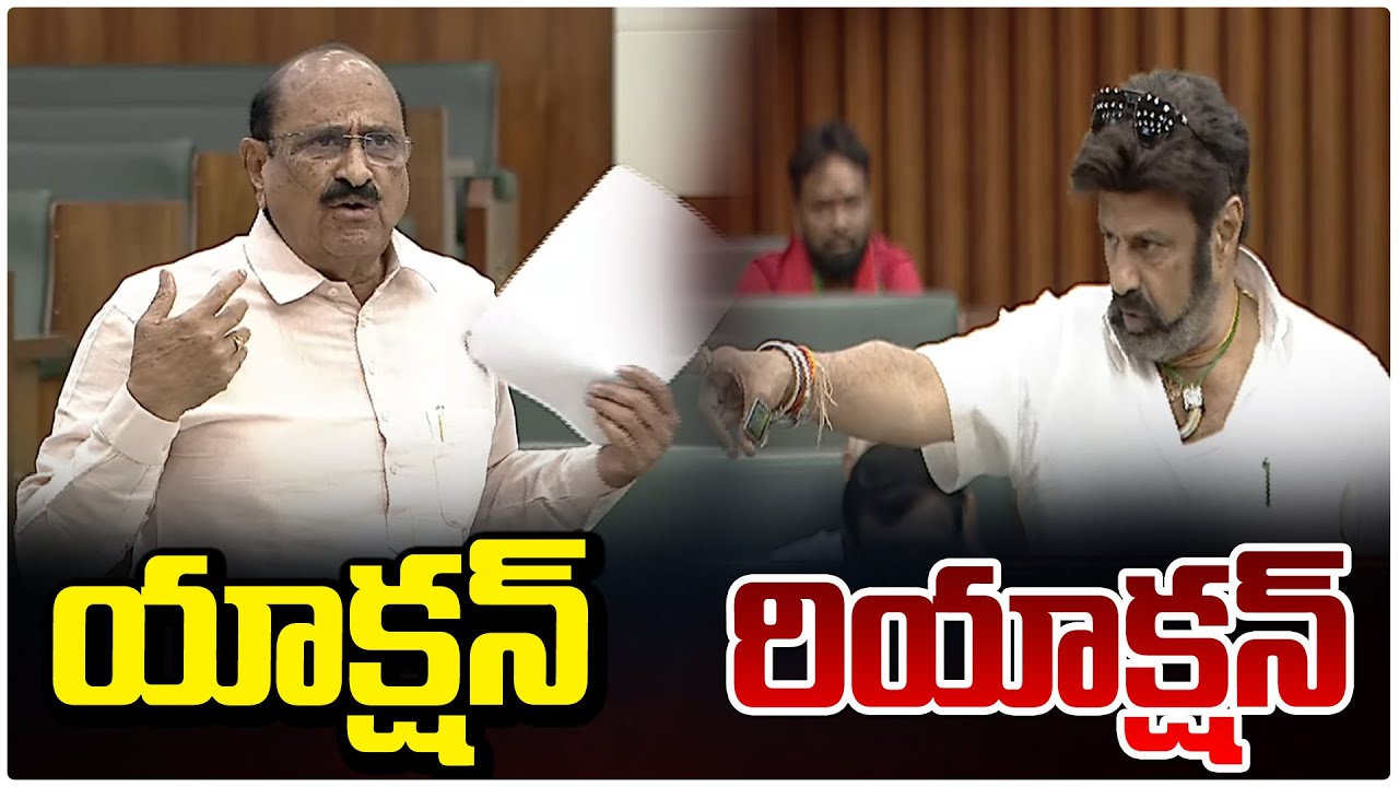 MLA Balayya Assembly Speech || Action - Reaction || Red Tv - YouTube