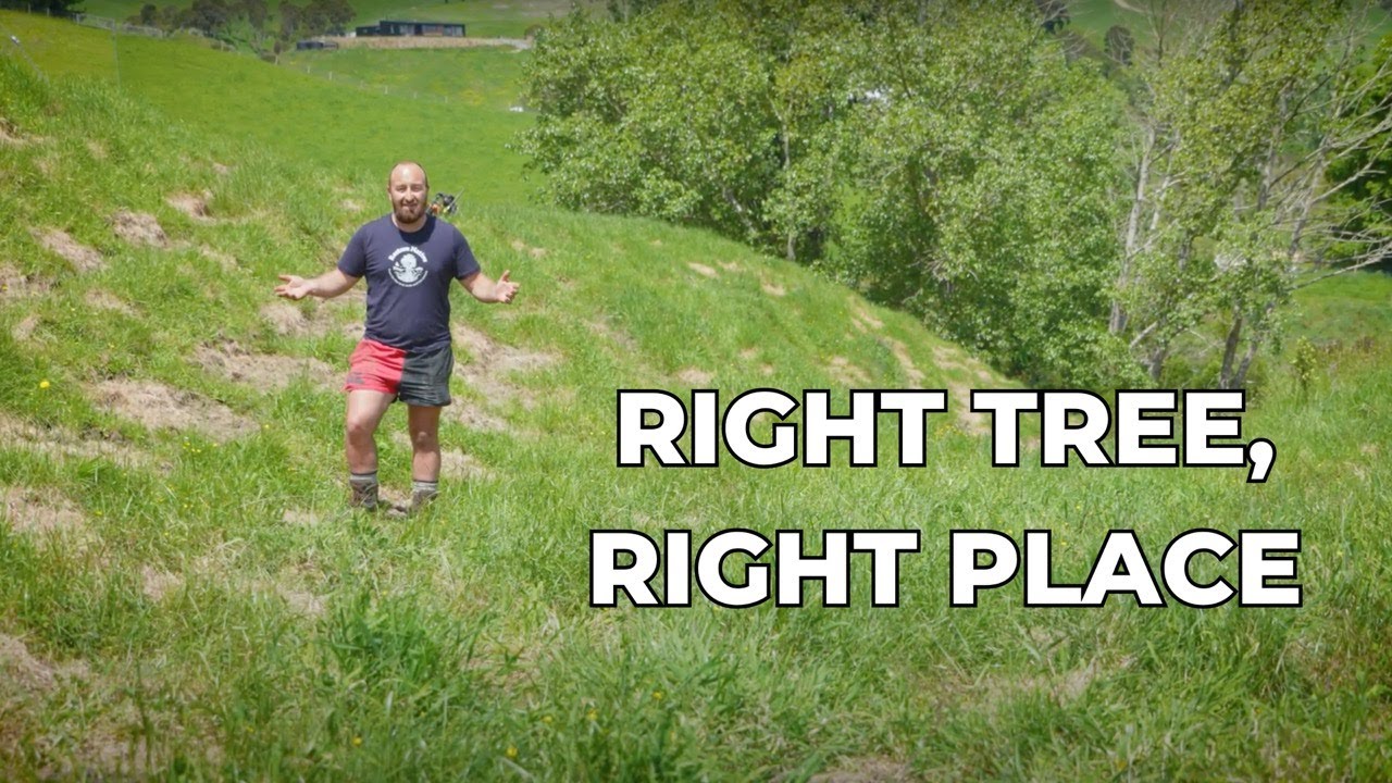Right Tree, Right Place | Quick Chats with Adam | Restore Native - YouTube
