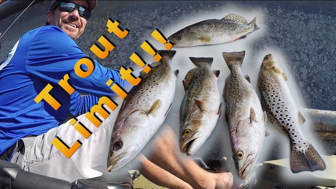 Trout Fishing Rudee Inlet (And a new spot) - YouTube