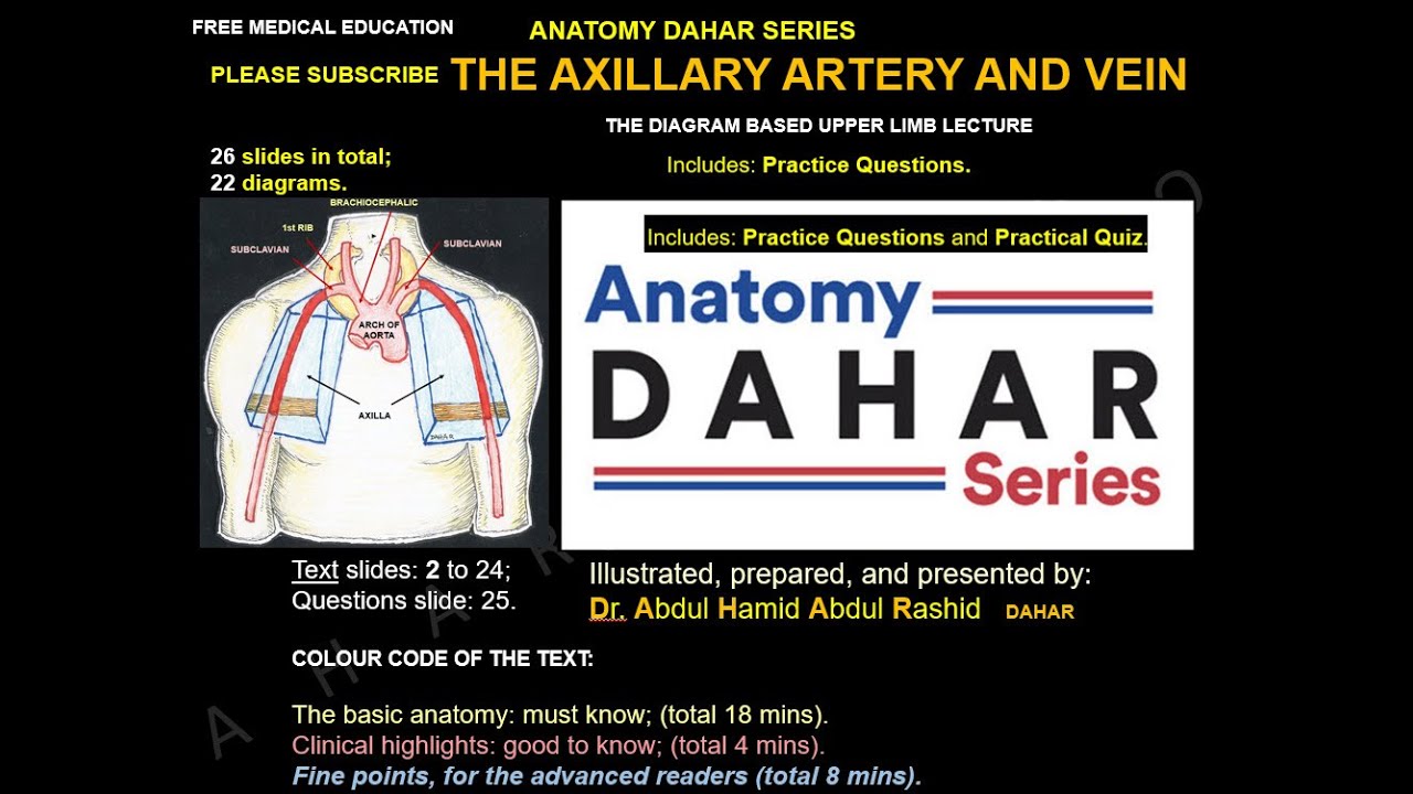 THE AXILLARY ARTERY AND VEIN, Anatomy DAHAR Series - YouTube