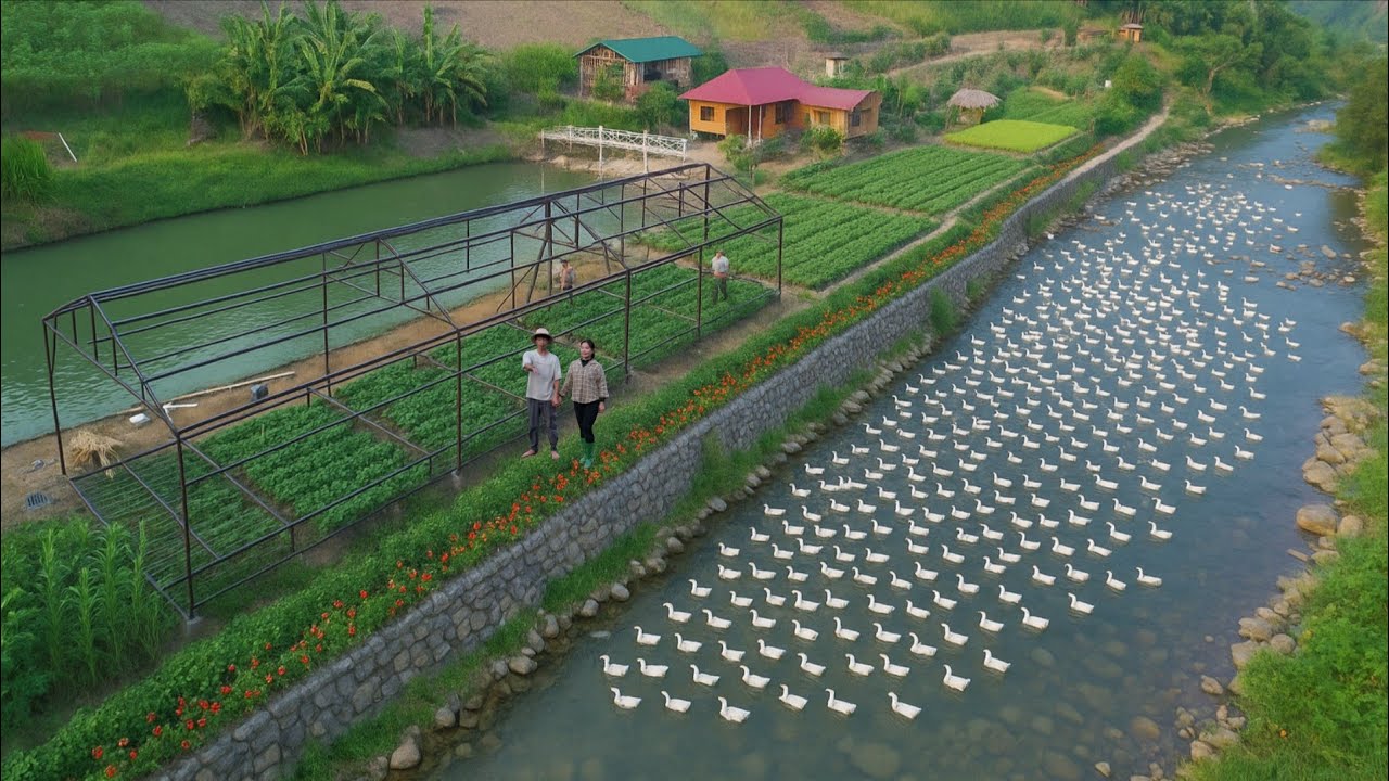 $12,000 Off-Grid Mansion 300m² Almost Done | Raising Ducklings in Our ...