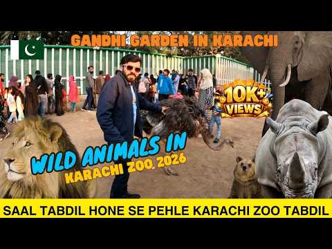 Karachi Zoo New Look 2026 | Karachi Zoo Animal Advanture | Zoo in Karachi | Karachi Zoo Latest