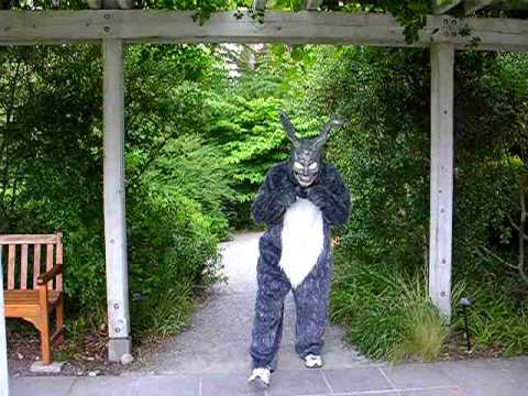 Frank the Bunny Costume Test - YouTube
