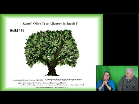 WK 15 (Jacob 5) Zenos & The Olive Tree Allegory - Rhonda Pickering ...