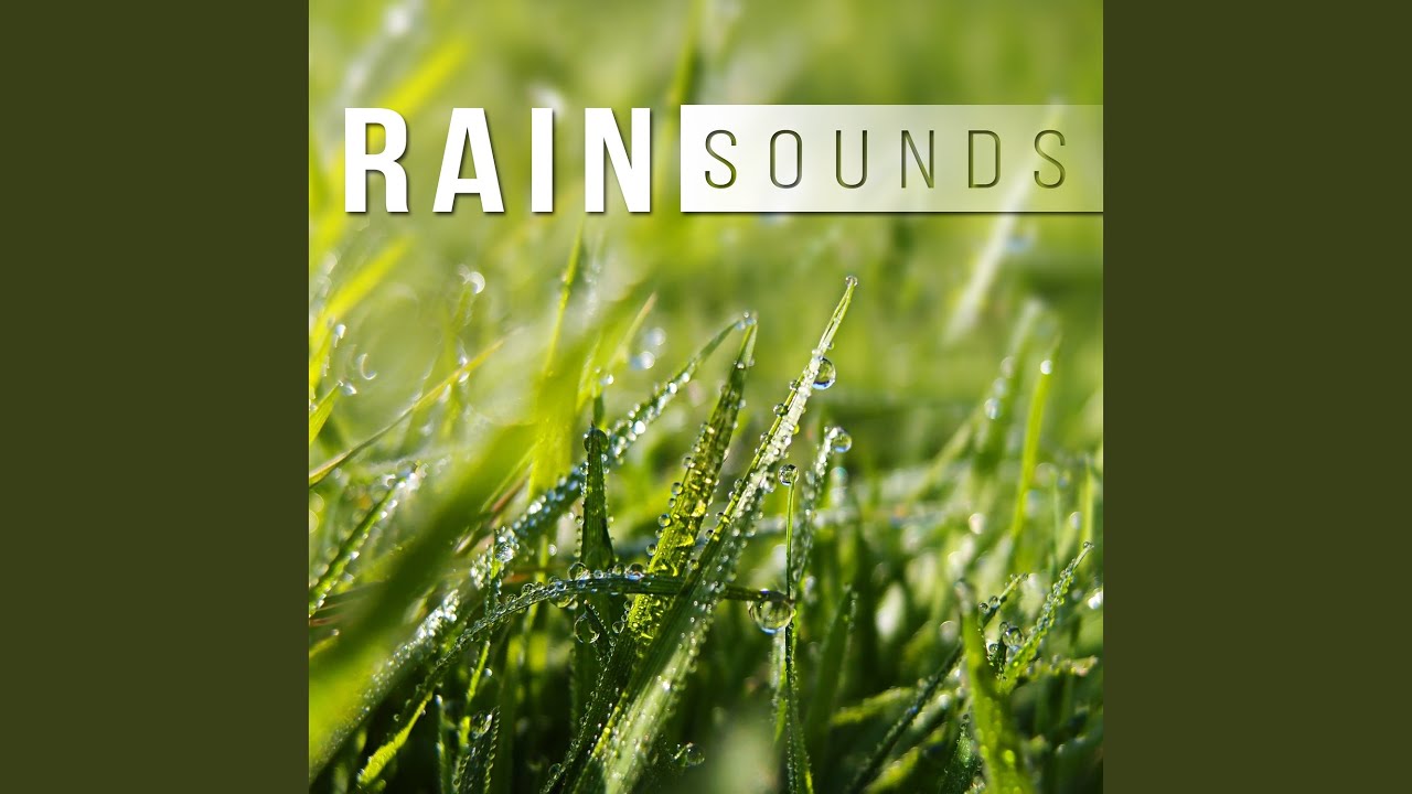 Good Night Rain, Sleep Music - YouTube