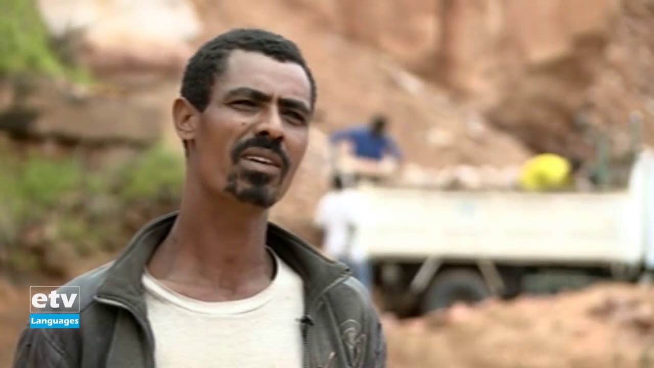 #EBC Komii dargaggoota albuuda dhagaa Amboo irraatti gurmaa’aniin ...