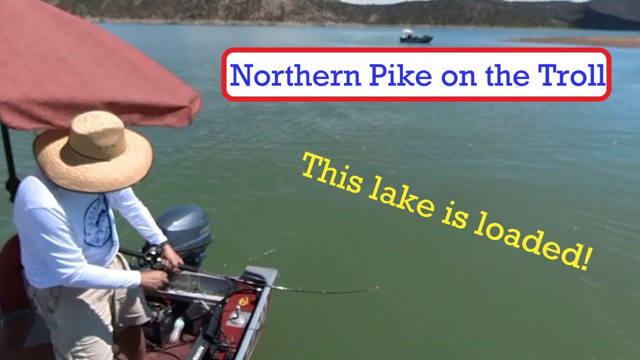 Fishing Navajo Lake with Steve-- Spoonplugging - YouTube