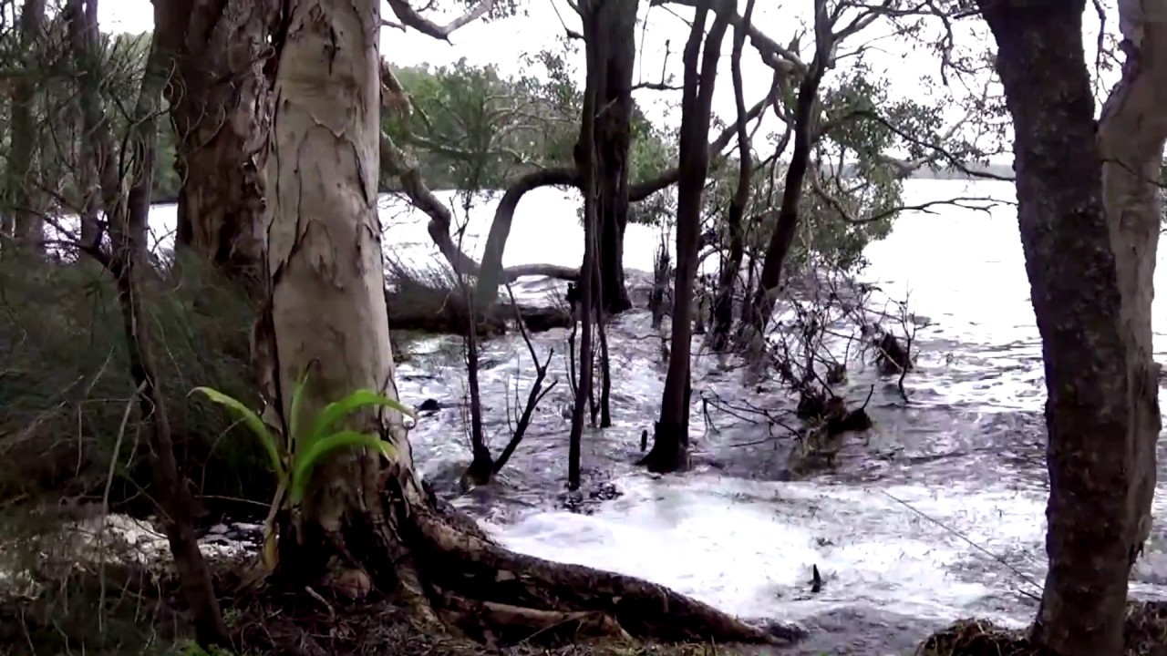 MYALL LAKES NP - WHITE TREE BAY CAMP - YouTube