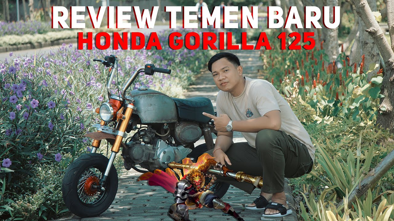 REVIEW HONDA GORILLA 125 CUSTOM - YouTube