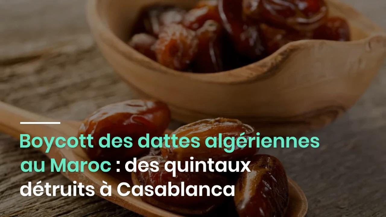 Boycott des dattes algériennes au Maroc : des quintaux détruits à ...