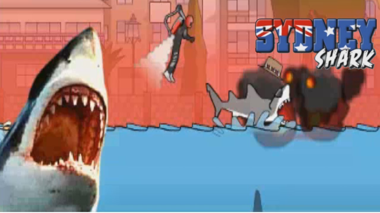 Absolute carnage!!! | Sydney Shark - YouTube