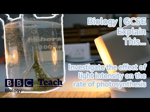 What Does Light Intensity Mean In Science