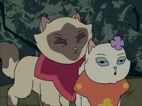 Sagwa 1x03a Royal Cats - YouTube