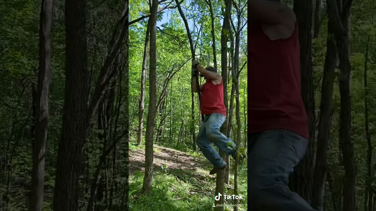 Man swinging on vine in the woods - YouTube
