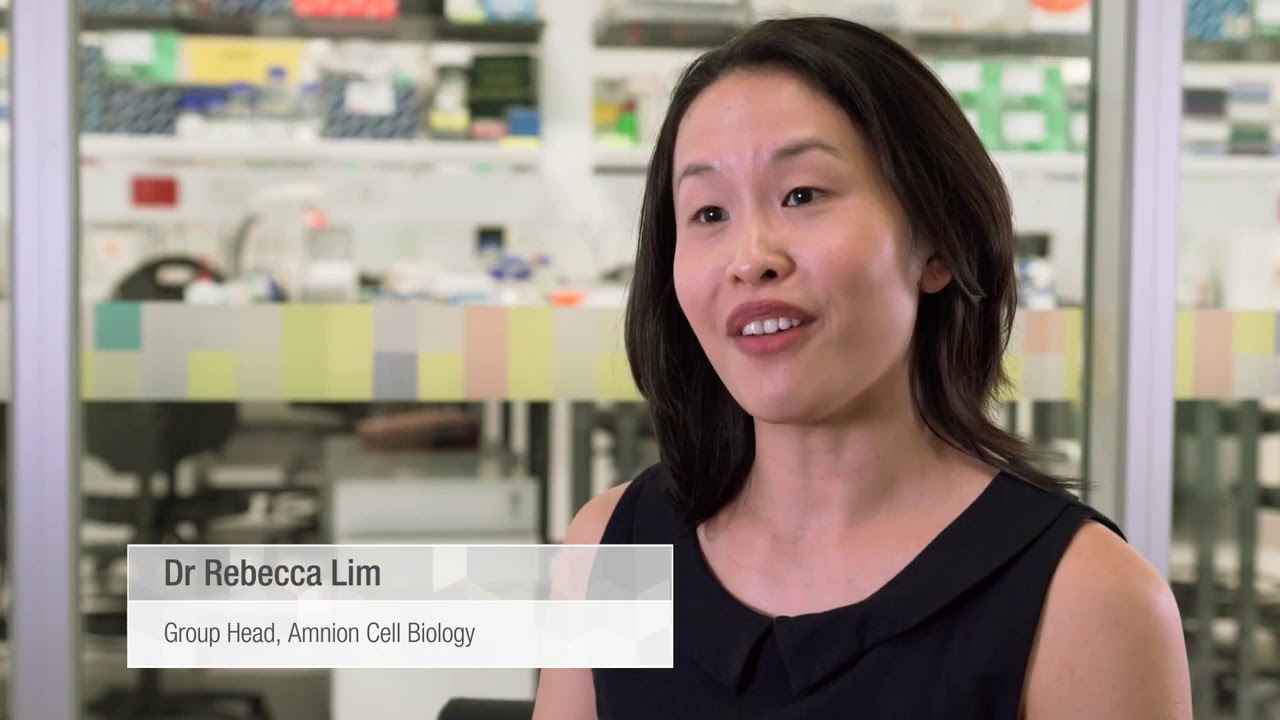 Monash Health Translation Precinct - YouTube