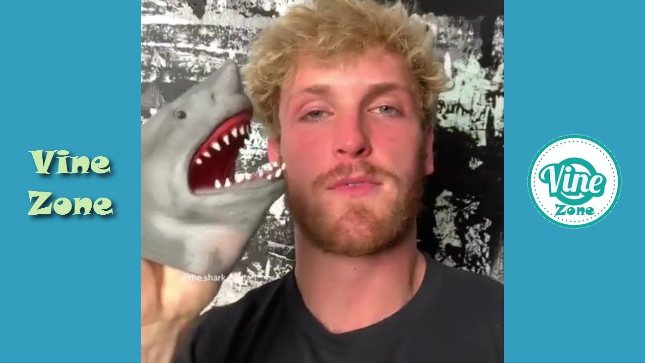 Funny Shark Puppet Instagram Videos 2019 - Vine Zone - YouTube
