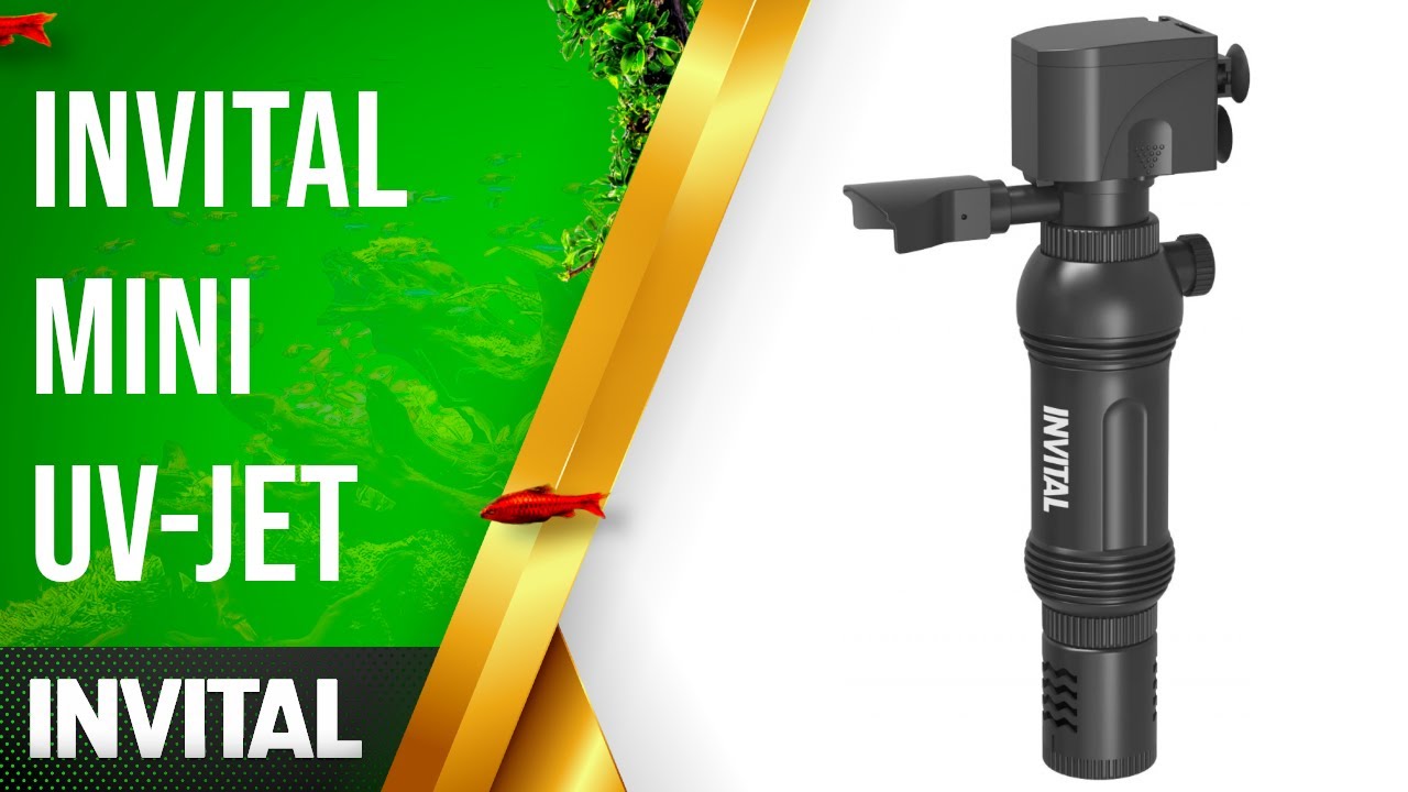 INVITAL Mini UV-Jet | INVITAL - YouTube