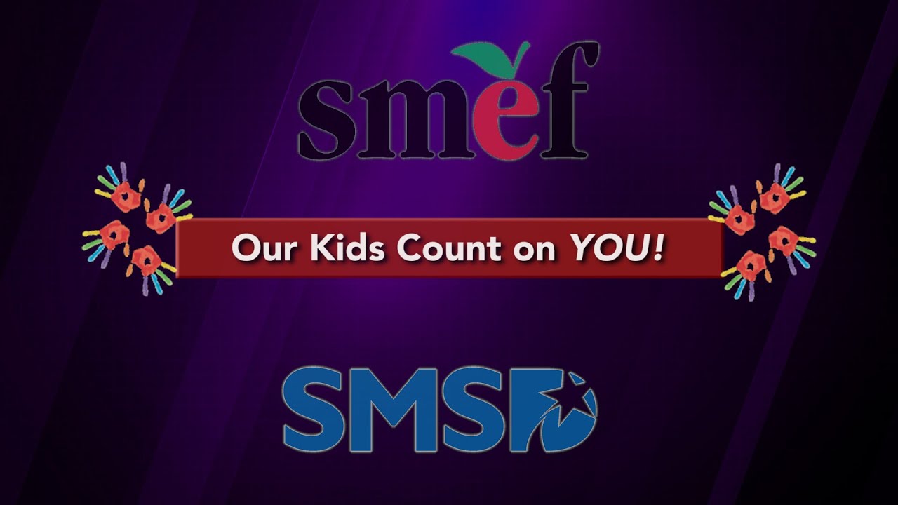 2015 SMEF Video - YouTube