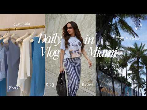 MIAMI VLOG | Design District, Girls Day e... Encontrei meu cachorro dos sonhos?