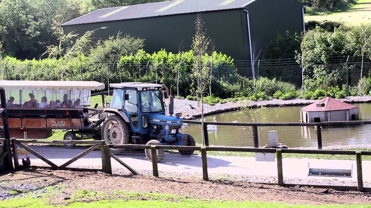 Rumley's Open Farm - YouTube