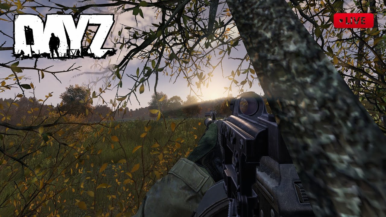 Chernarus Adventures | DayZ in 1440p - YouTube
