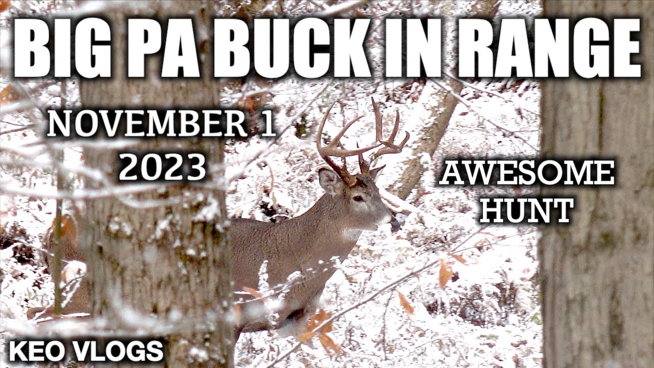 BIG Pennsylvania Buck At 45 Yards! - YouTube