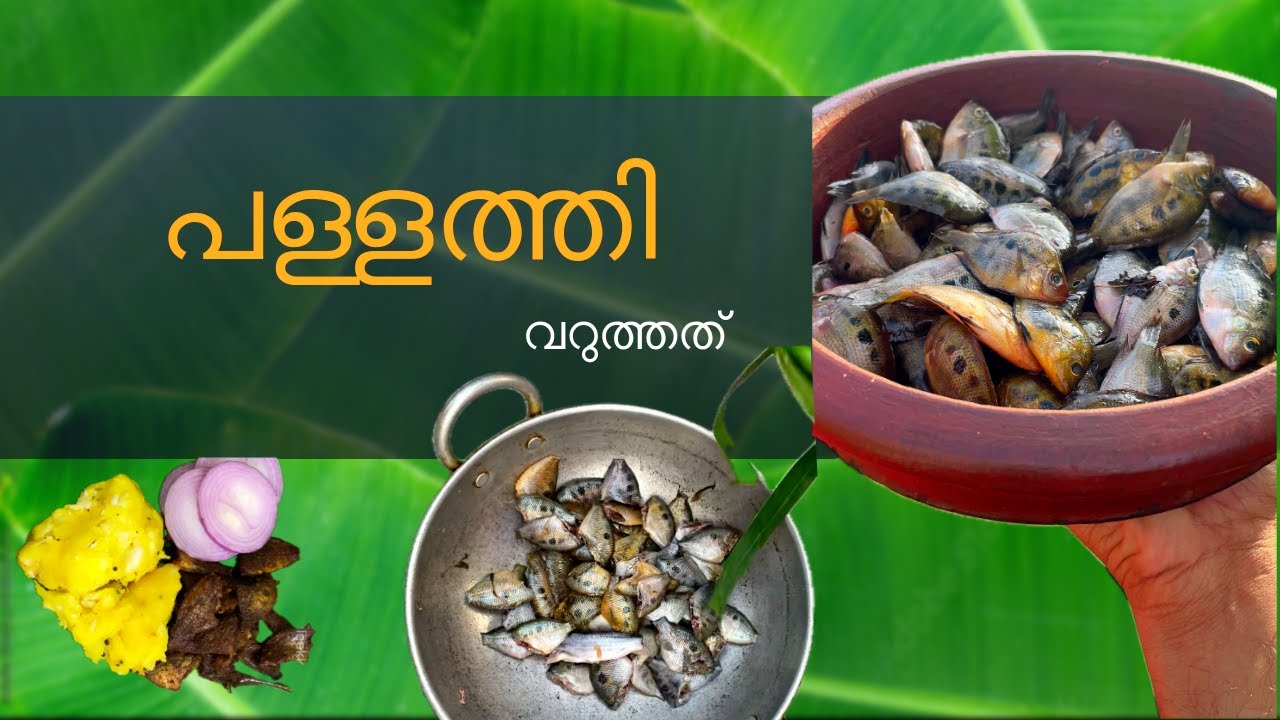പള്ളത്തി വറുത്തത് - ആറ്റു മീൻ | Pallathi Fry | River Fish | Fish Fry ...