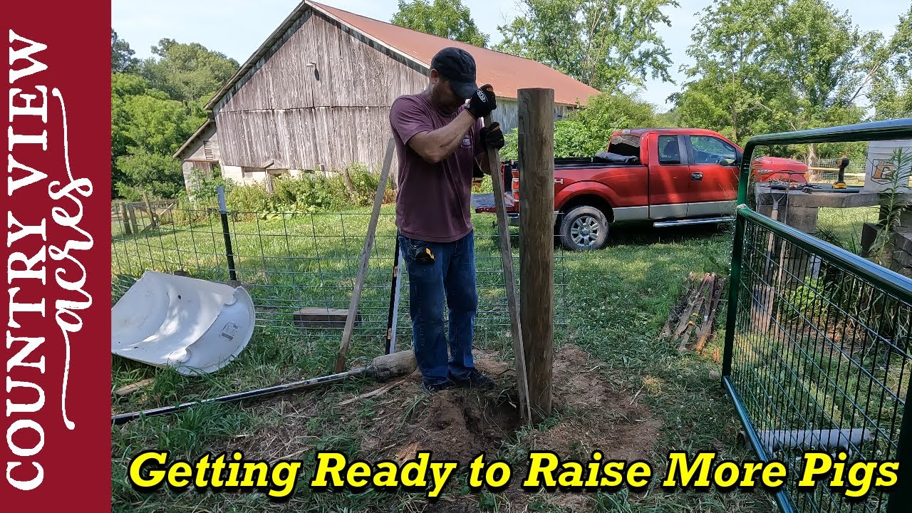 Getting ready for Feeder Pigs. Starting project to expand Our Pig ...