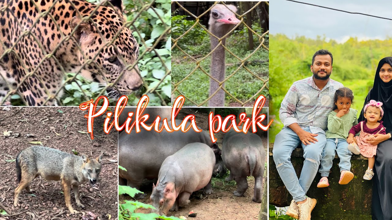 A Day At Pilikula biological park mangalore || Pilikula Zoo - YouTube