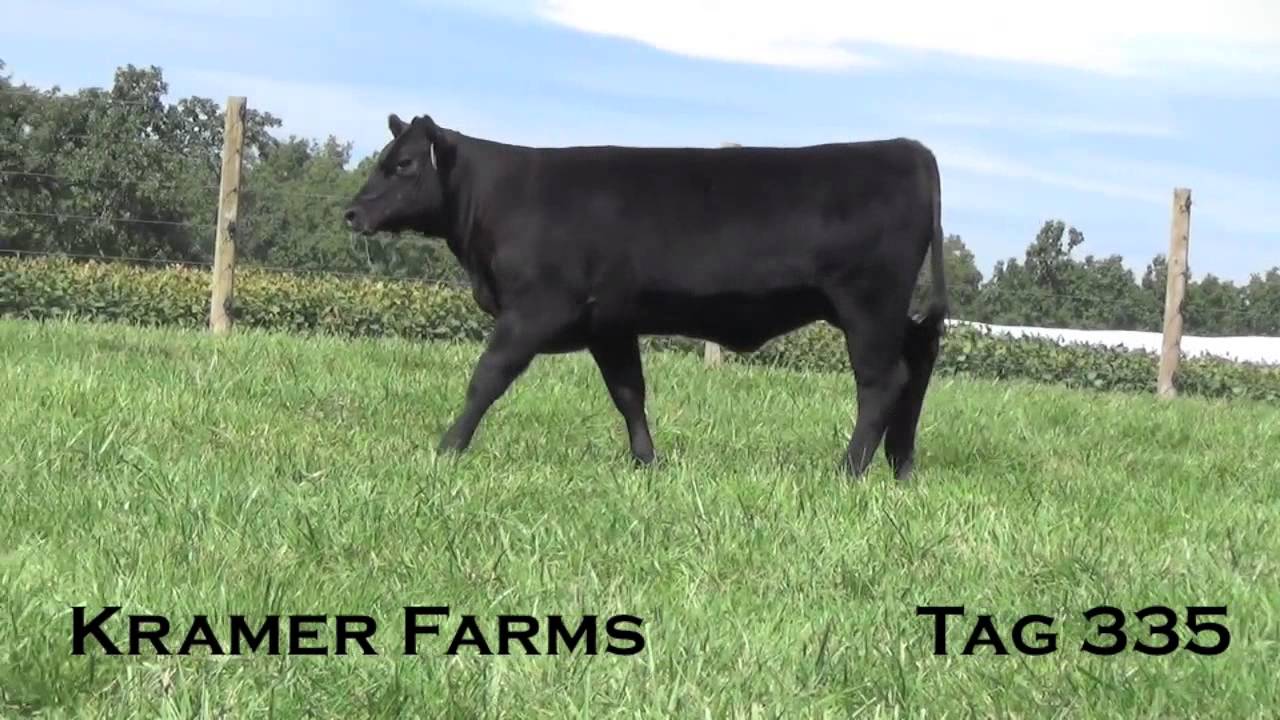 Kramer Farms Tag 335 - YouTube