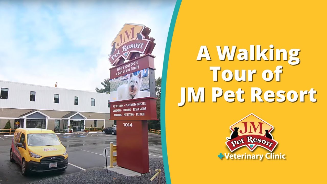 Take the Tour | Inside JM Pet Resort & Veterinary Clinic - YouTube