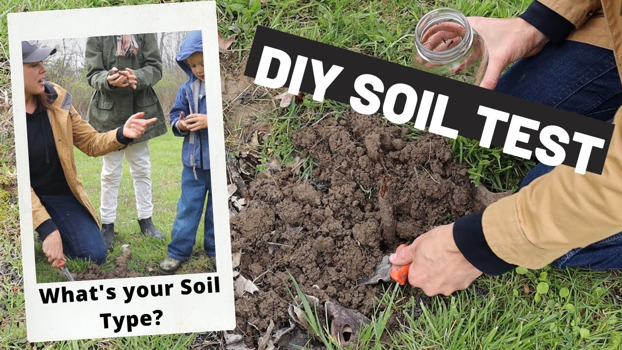 What Type of Soil Do I Have? DIY Soil Type Test - YouTube