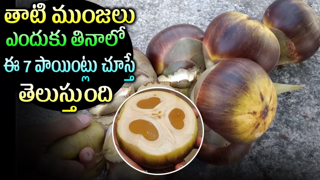 Telugu Health Tips telugu-health-tips