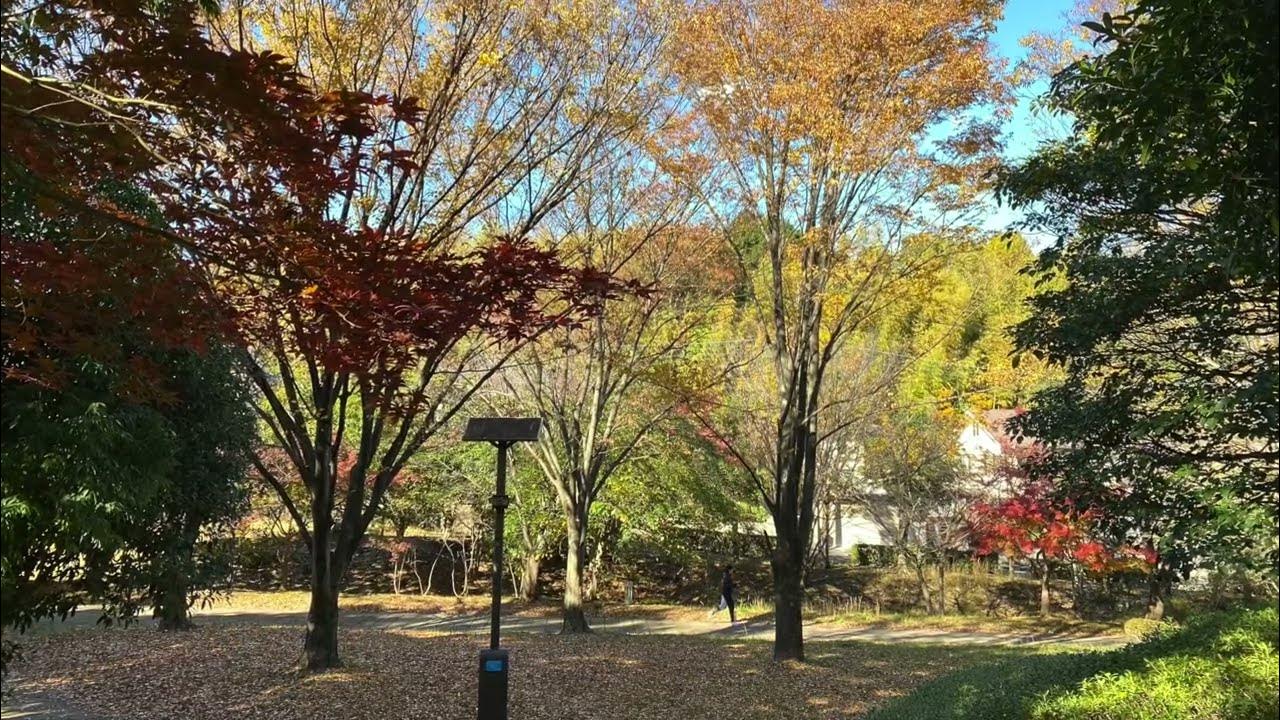 1229 1130 0608 - YouTube